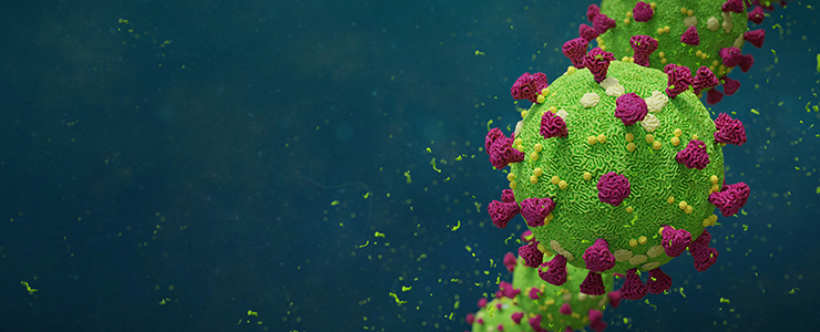 The Federation of State Boards of Physical Therapy - Promoting Safety ...